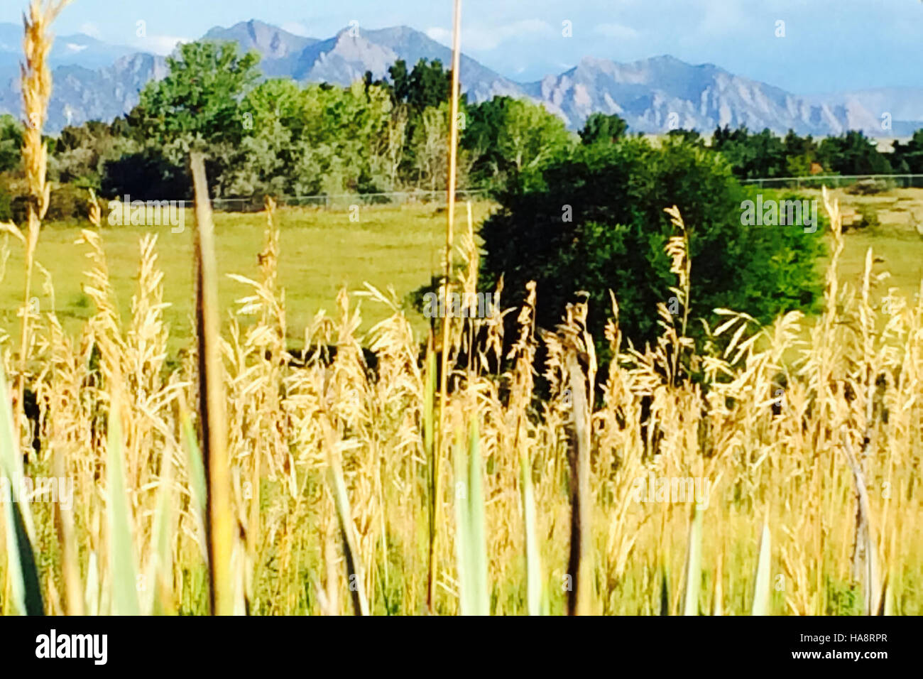 The Two Ponds area in a national park provides a scenic and serene ...