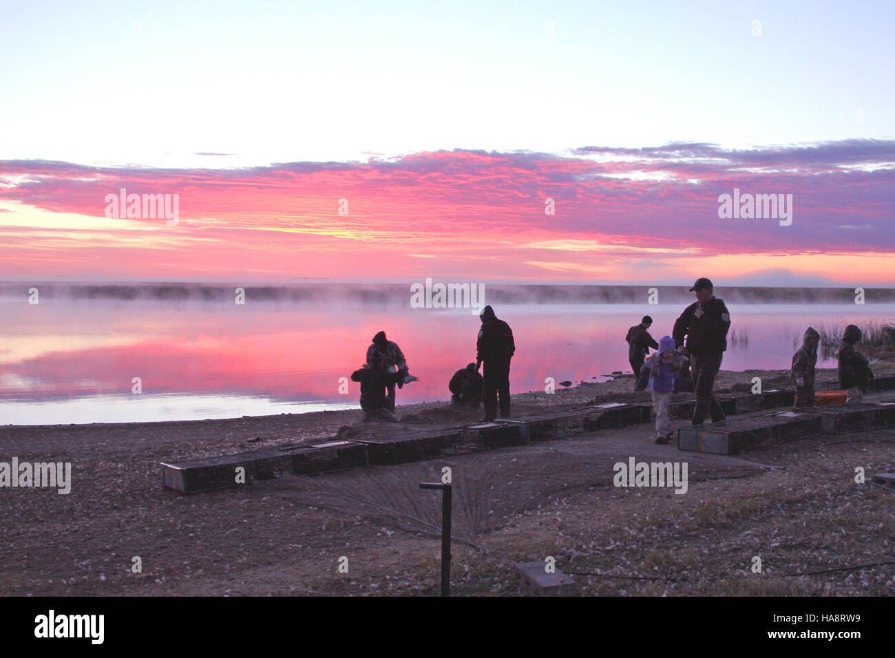 Duck banding is a wildlife management activity conducted in national ...