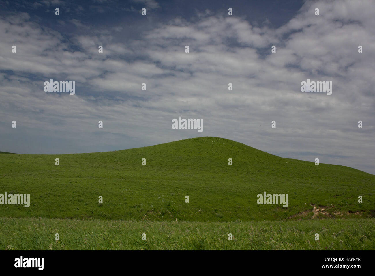 The Flint Hills in Kansas are home to one of the last remaining ...