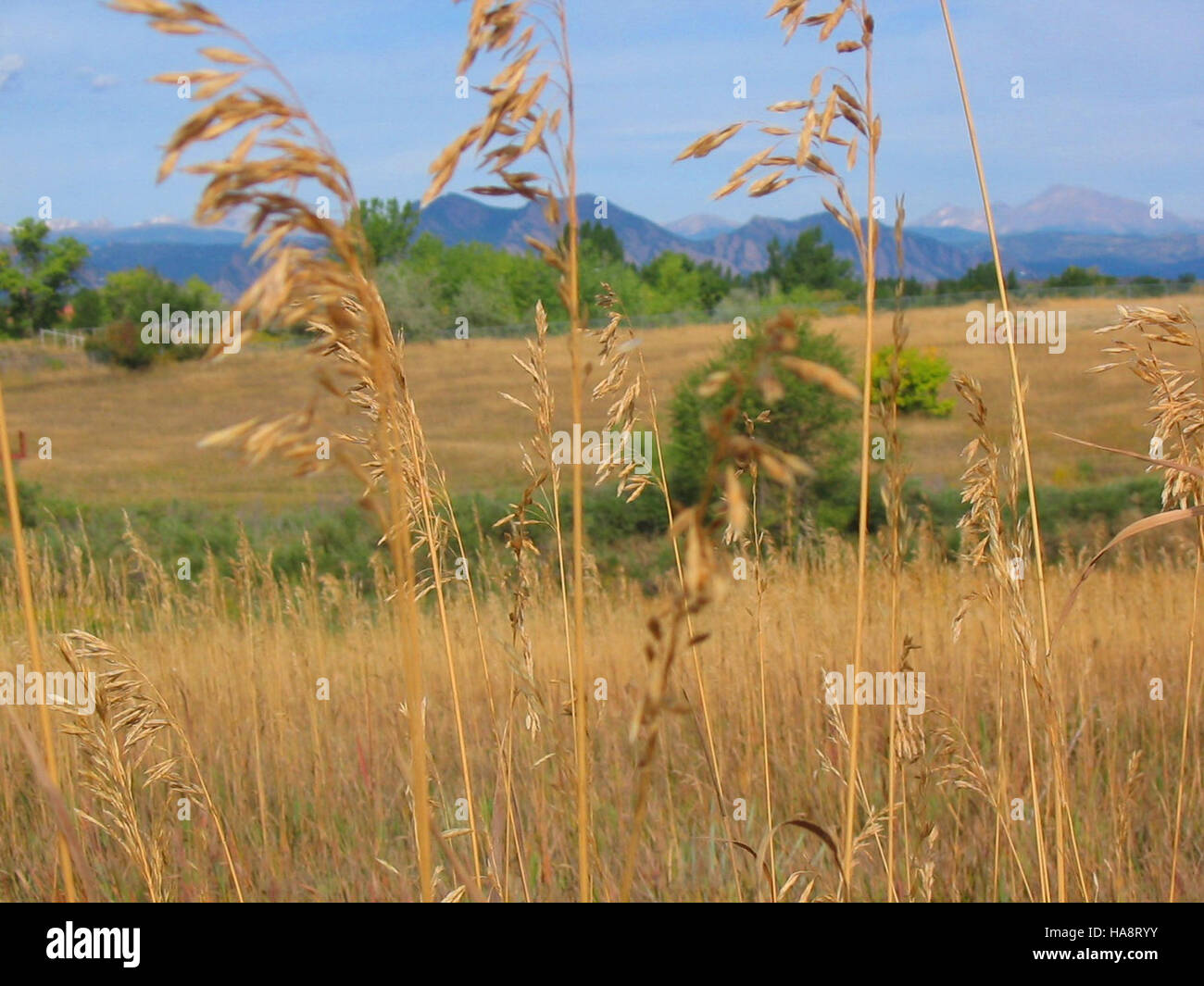 The Prairie View National Park showcases diverse ecosystems of the ...
