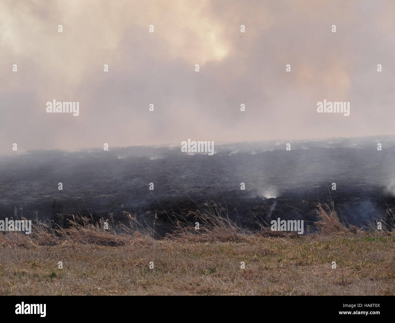 Scorched Earth National Park is a designated protected area, focused on ...