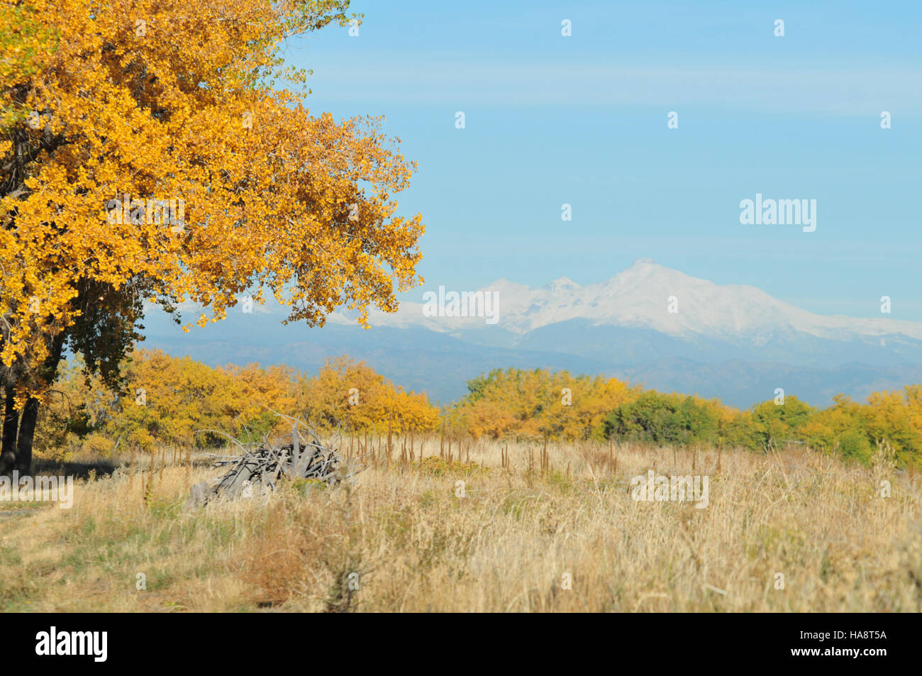 A view of Longs Peak, located in the Rocky Mountain National Park ...