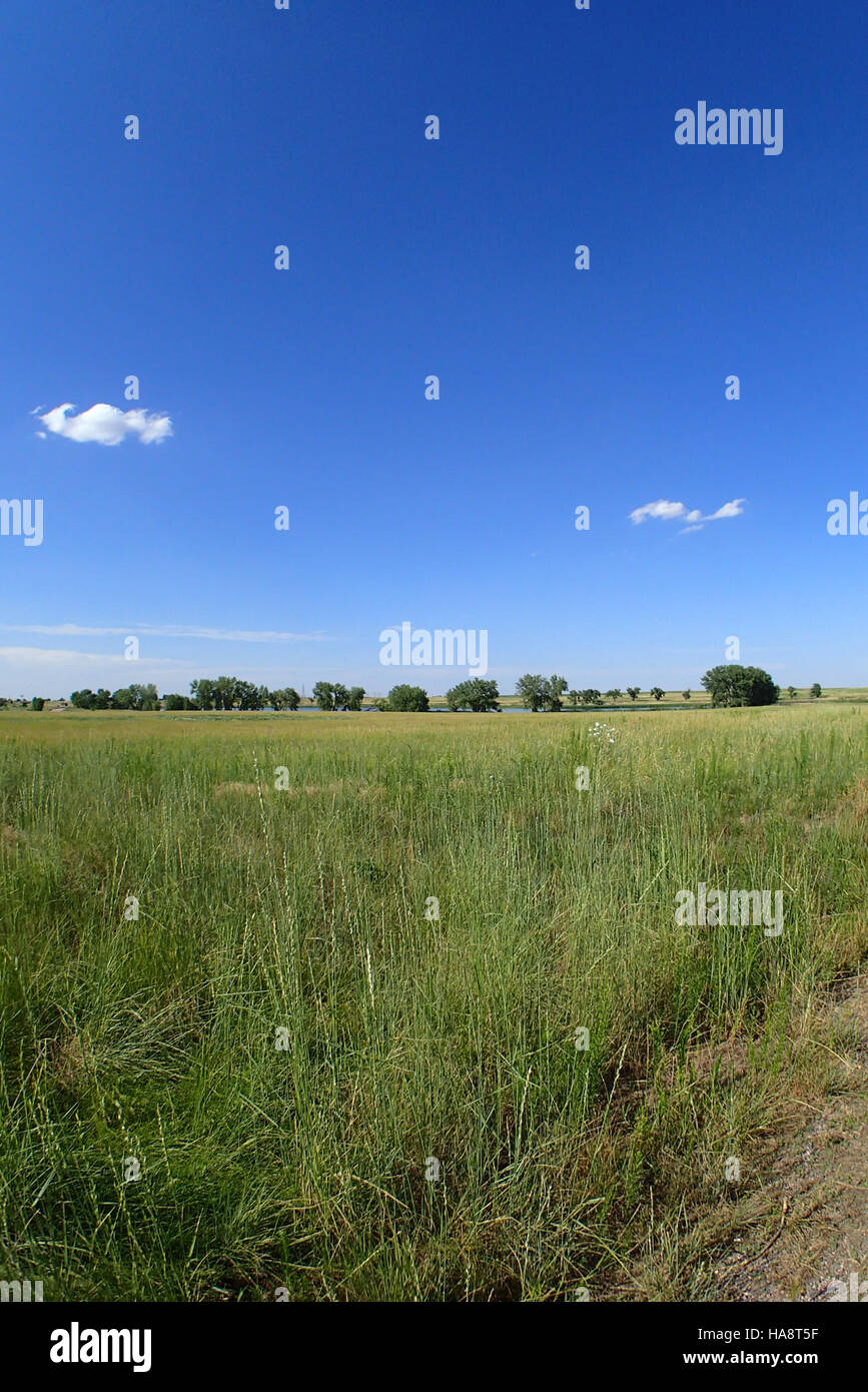 usfwsmtnprairie 14833899347 Shortgrass Prairie Stock Photo - Alamy