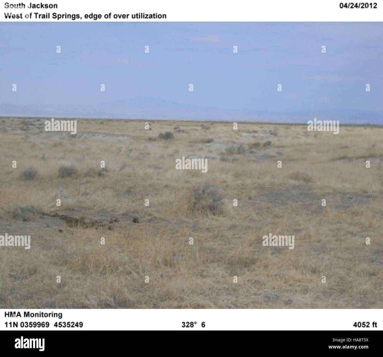 Poor quality habitats hi-res stock photography and images - Alamy