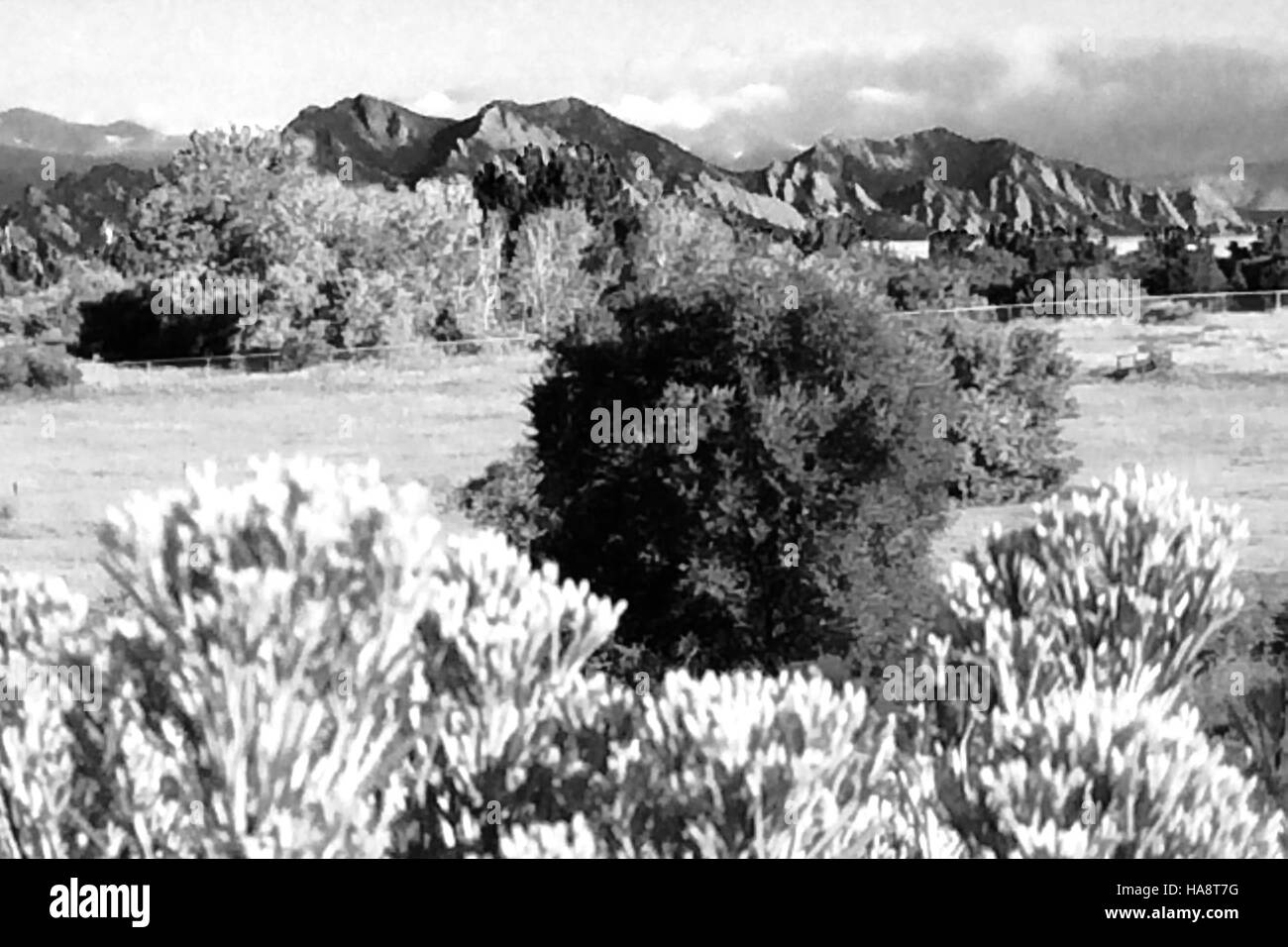 Wildlife research refuge Black and White Stock Photos & Images - Alamy