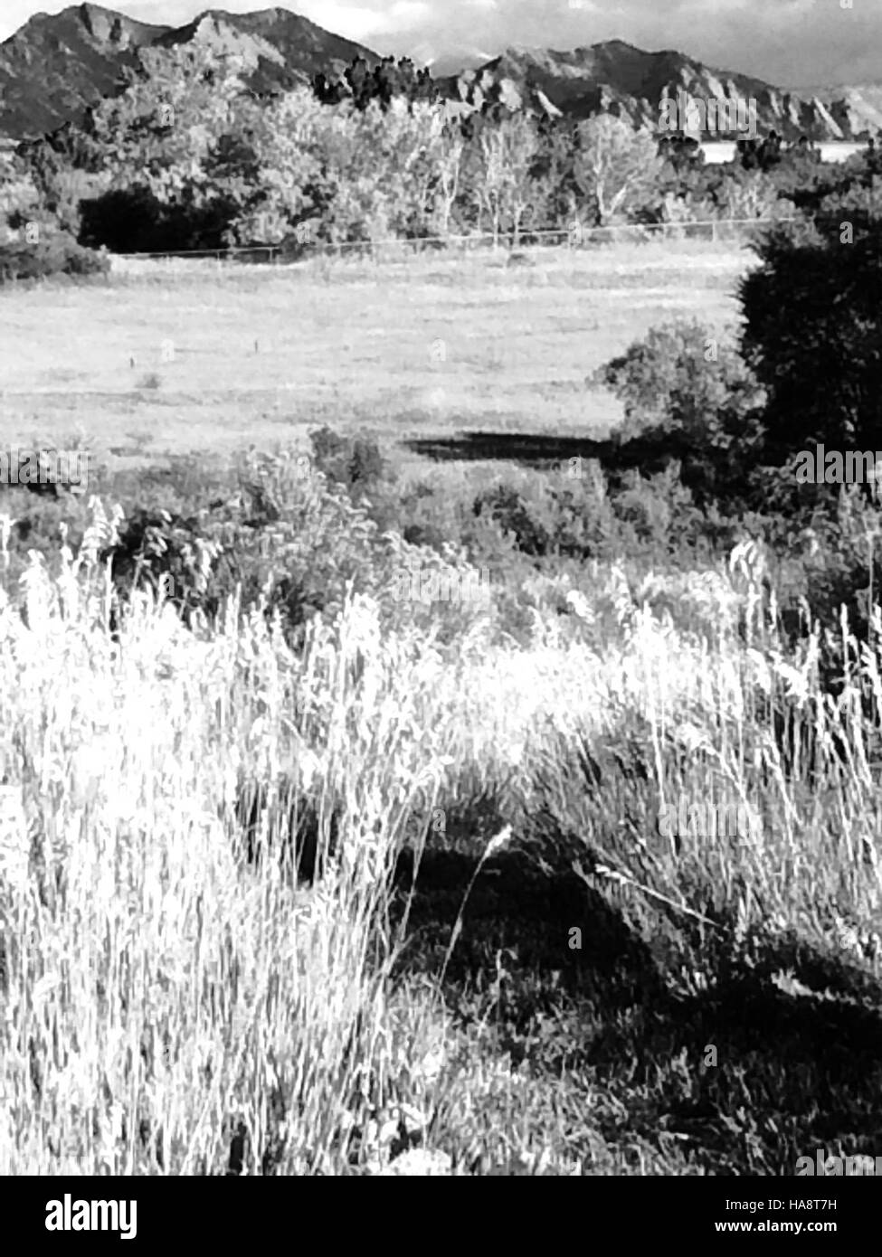 The Two Ponds Trail is located within a national park, offering ...