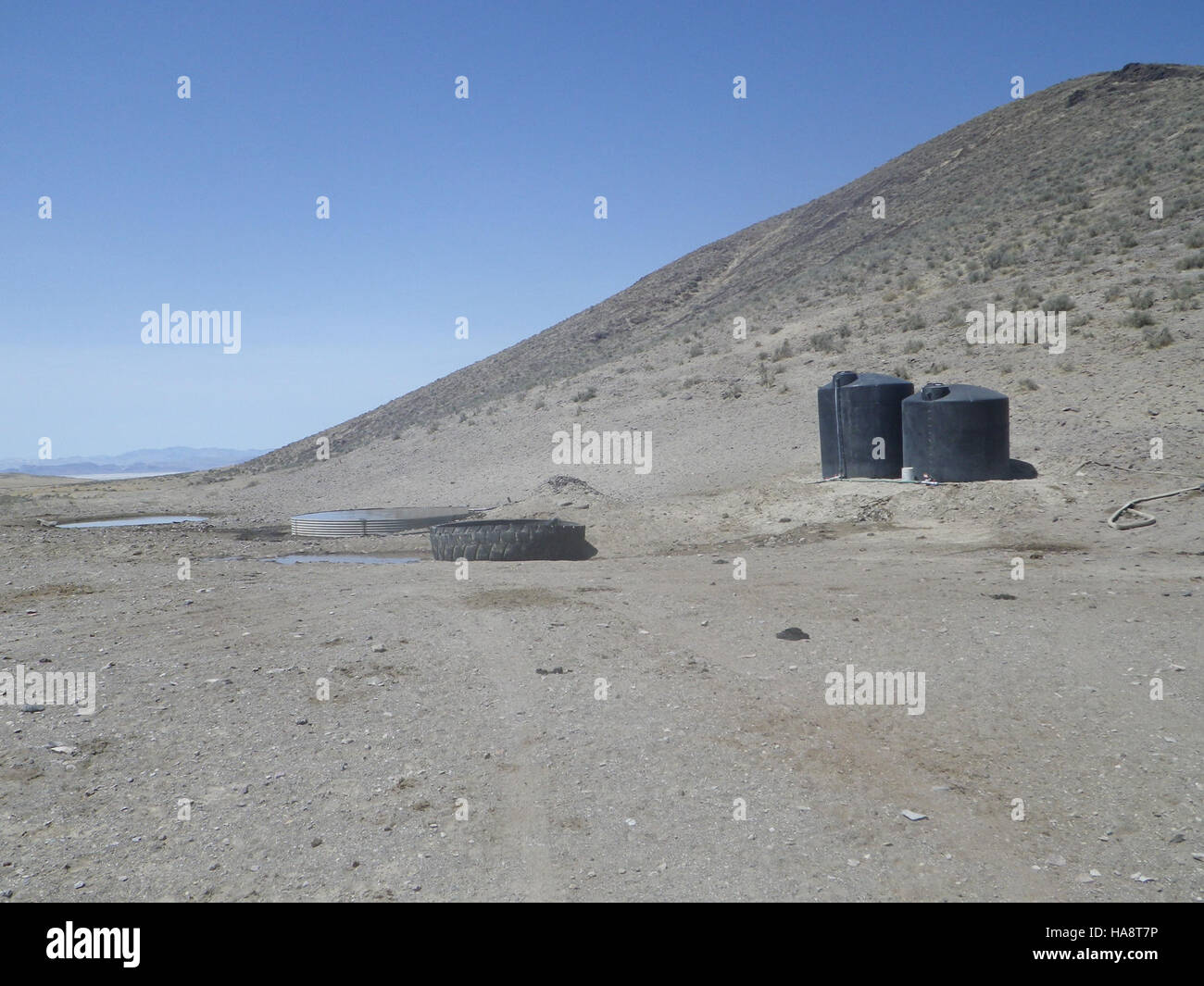 Trail Springs is a critical water source within the Nevada desert ...