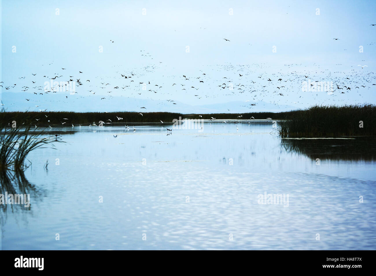 The Ear River Migratory Bird Refuge is a protected area designed to ...