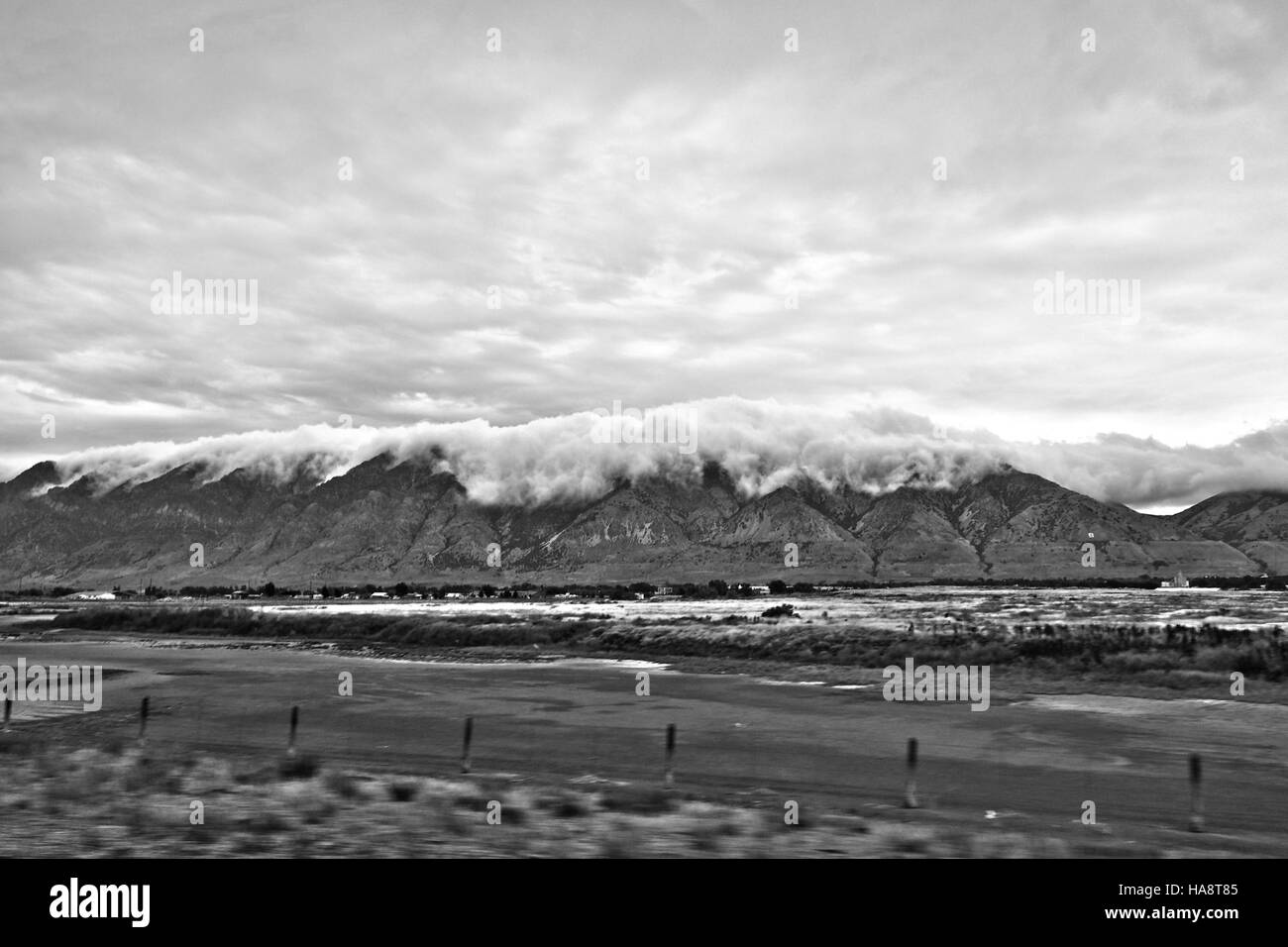 Safe for birds Black and White Stock Photos & Images - Alamy