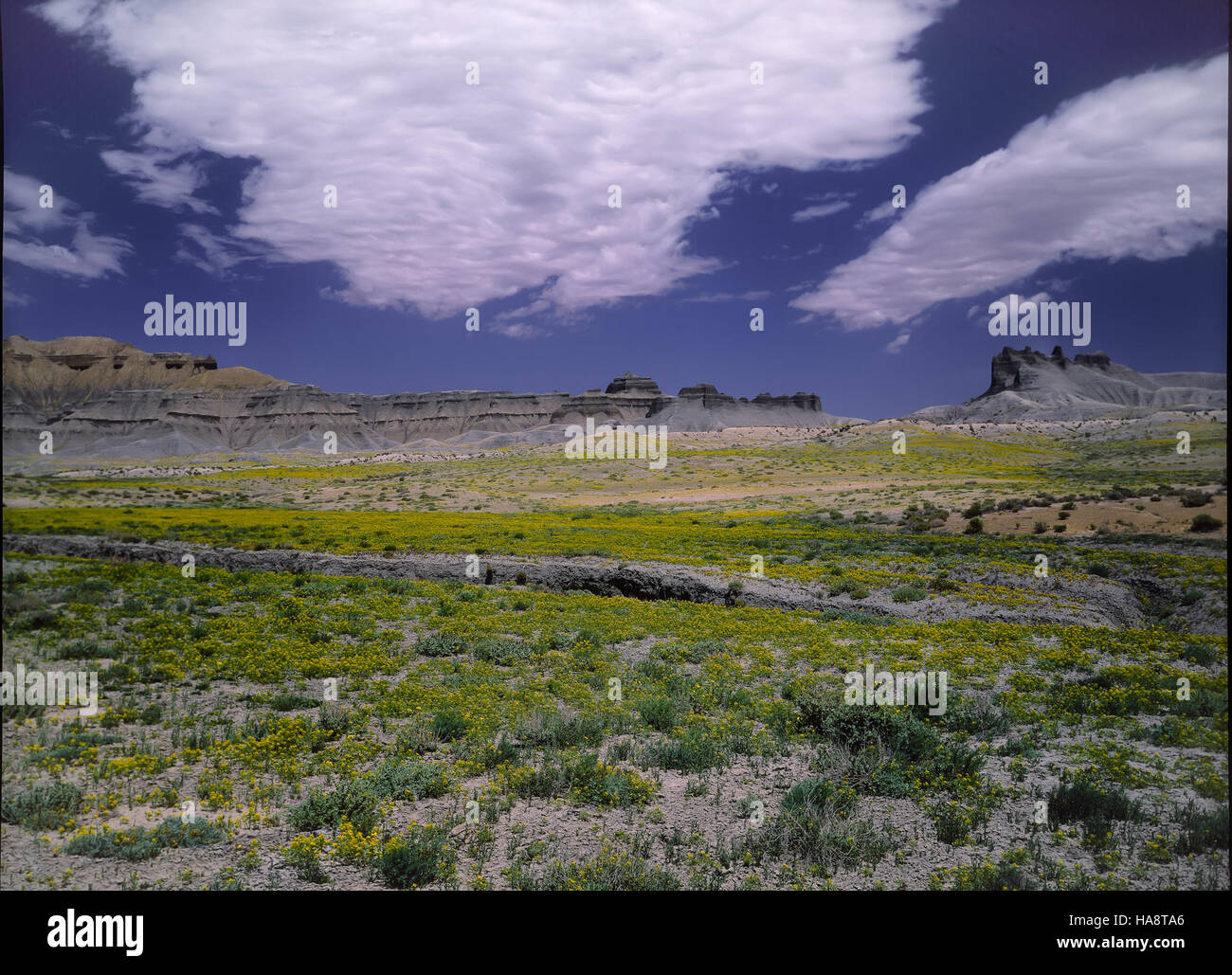 A springtime view of the Badlands in Utah, showing the stark beauty of ...