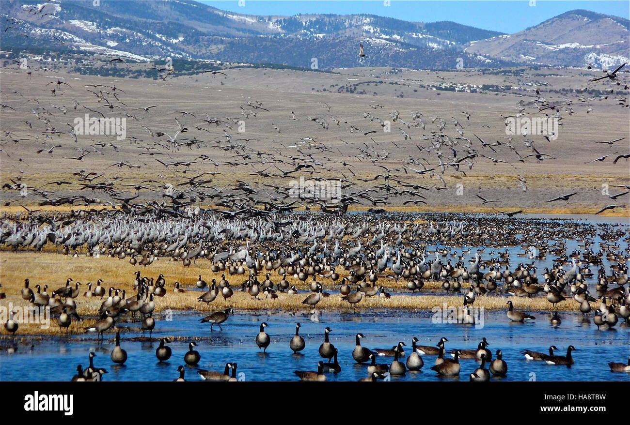 March is a time when wildlife in national parks, including the U.S ...