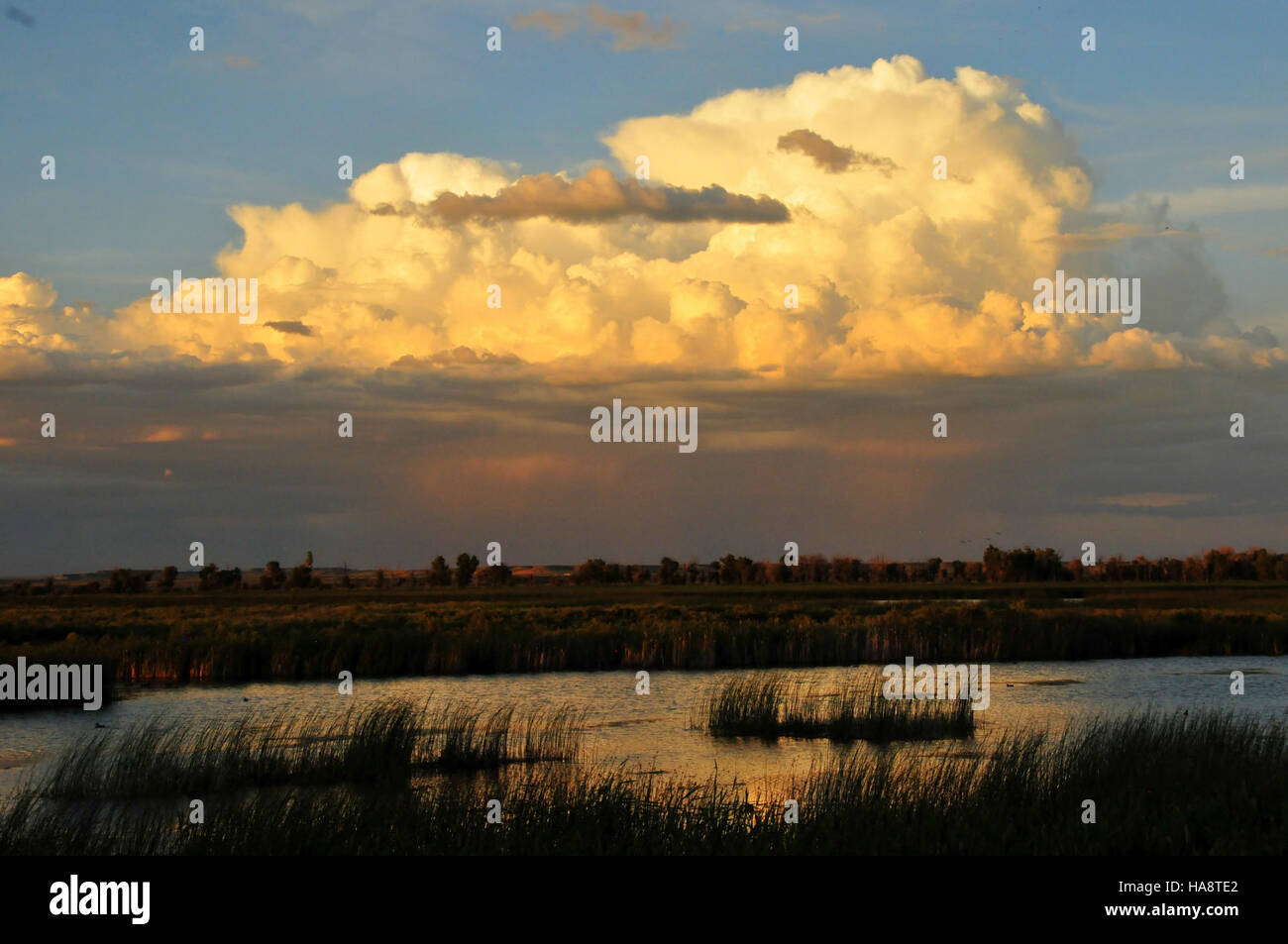 usfwsmtnprairie 14901046347 Billowy Clouds over Hawley Unit Seedskadee ...