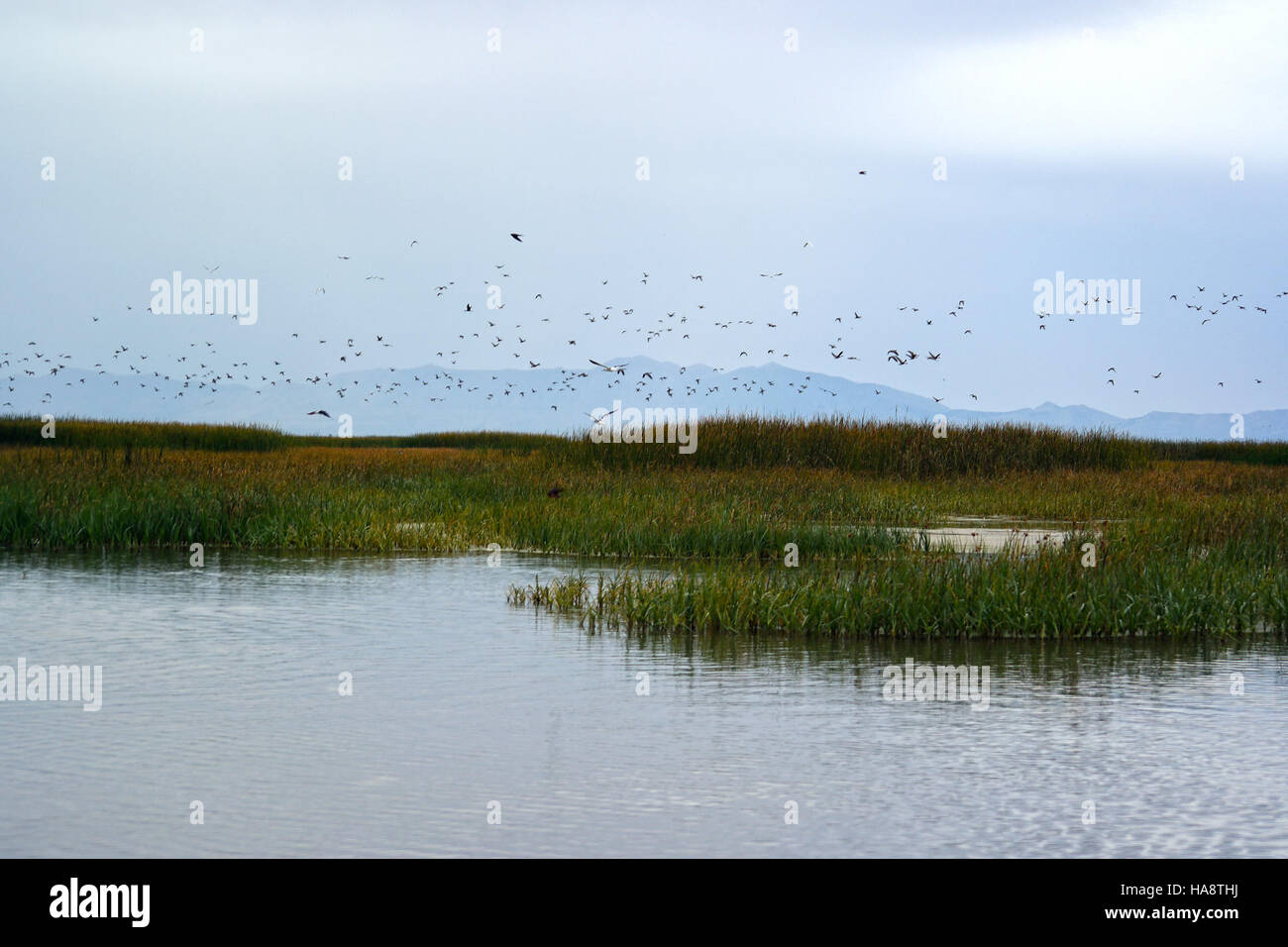 The Ear River Migratory Bird Refuge in the Mountain Prairie region ...