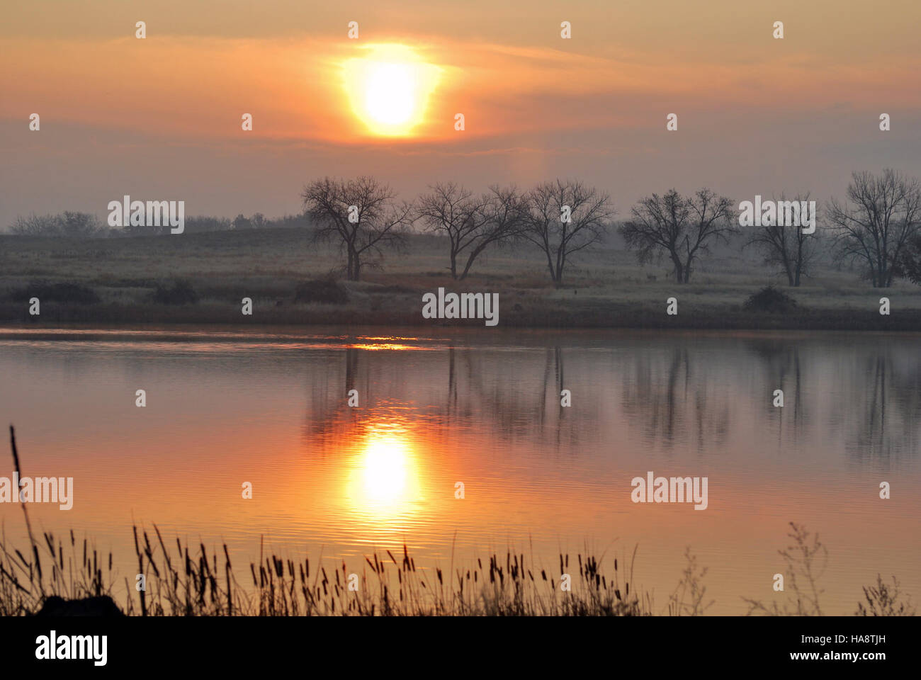 Ladora hi-res stock photography and images - Alamy