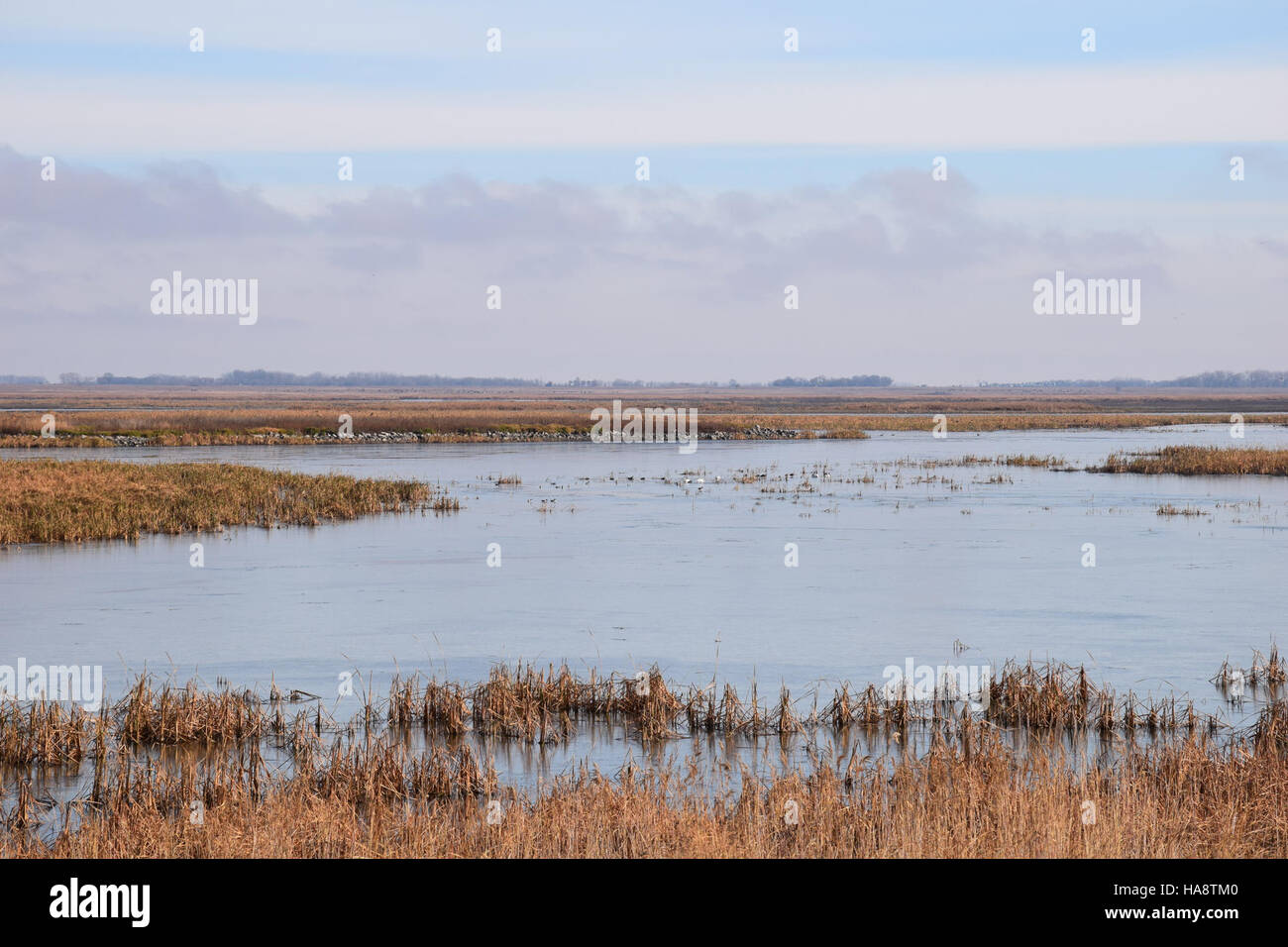 A serene image of a wildlife refuge, providing a peaceful resting place ...