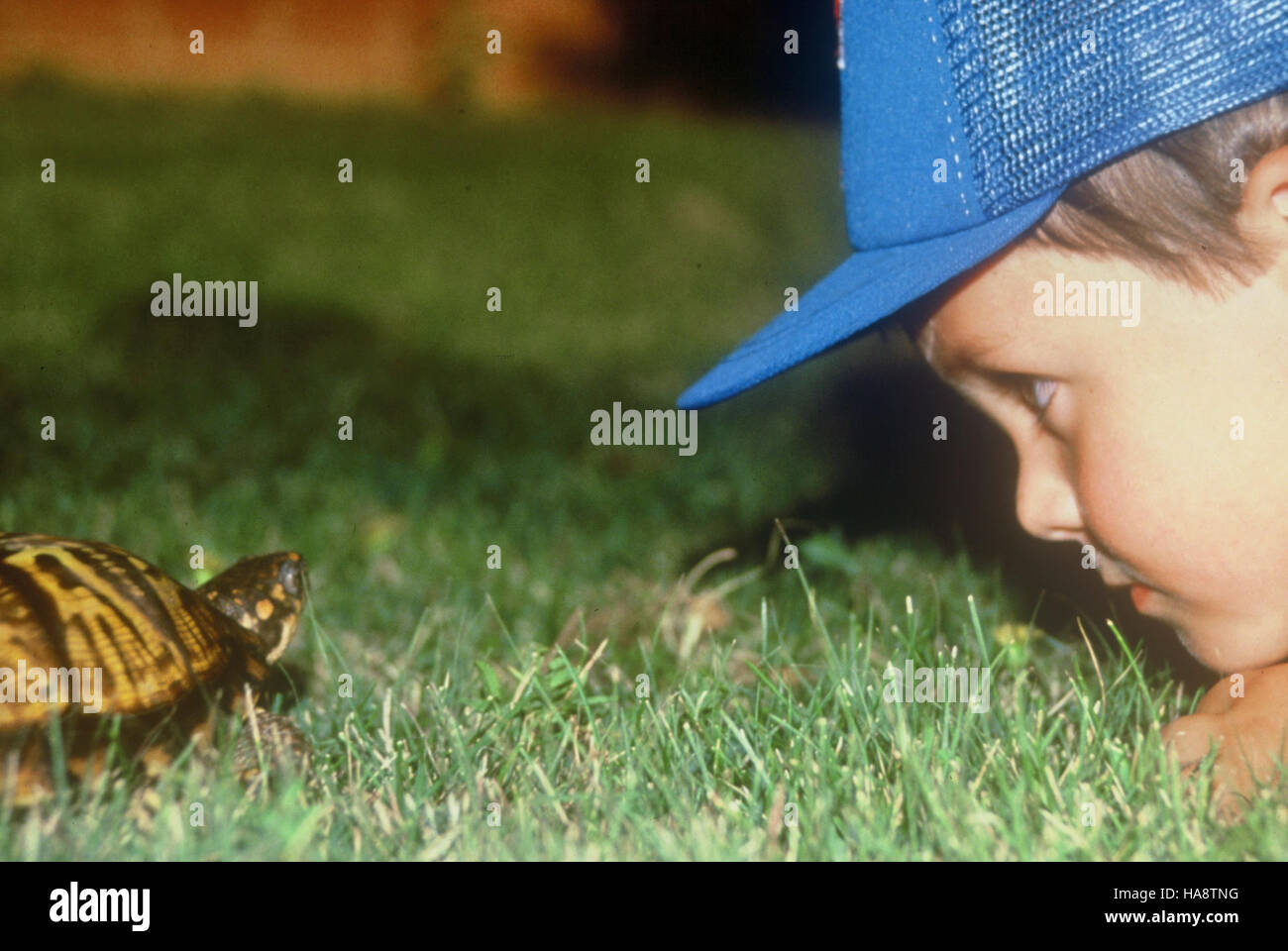 usfwsmtnprairie 15178995146 Turtle & Boy Stock Photo - Alamy