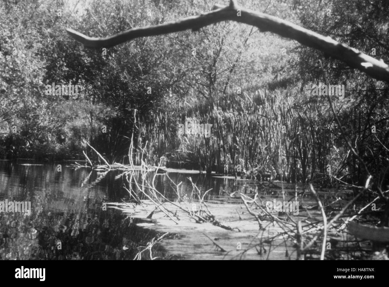 Old Two Ponds National Wildlife Refuge provides a vital habitat for a ...