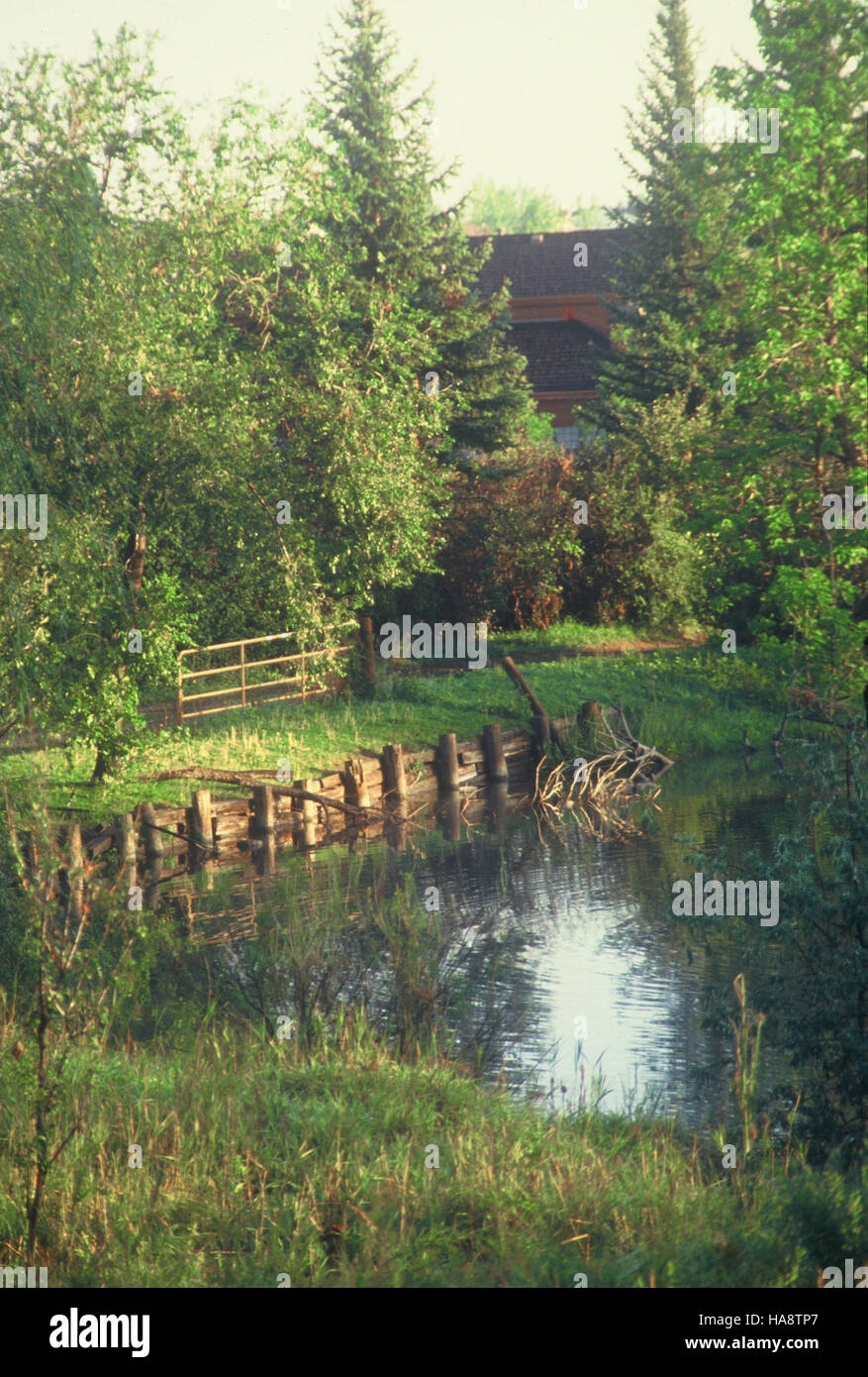 Old Two Ponds National Park is a protected area known for its diverse ...