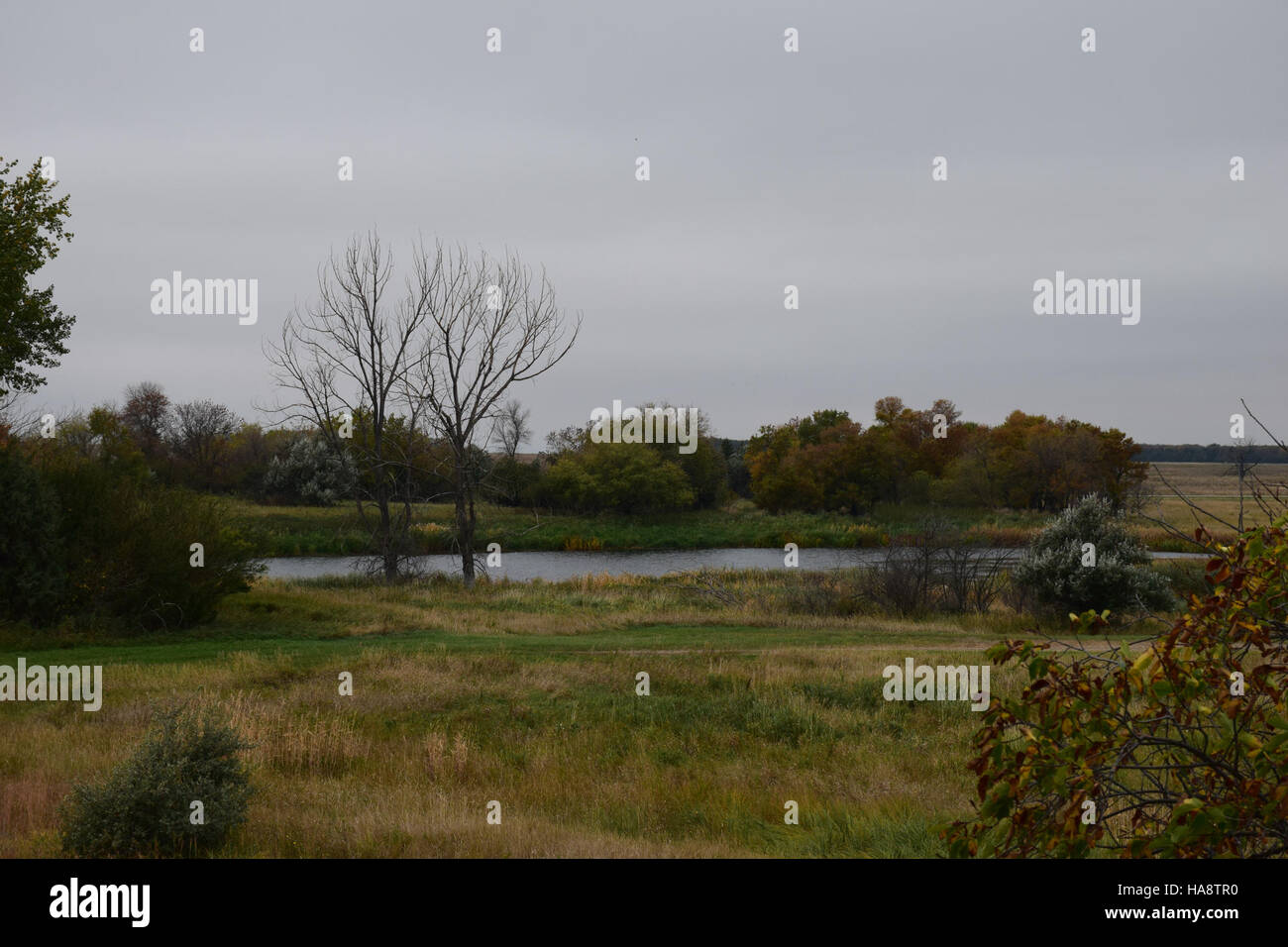 Hidden Pond in the Mountain Prairie region serves as an important ...