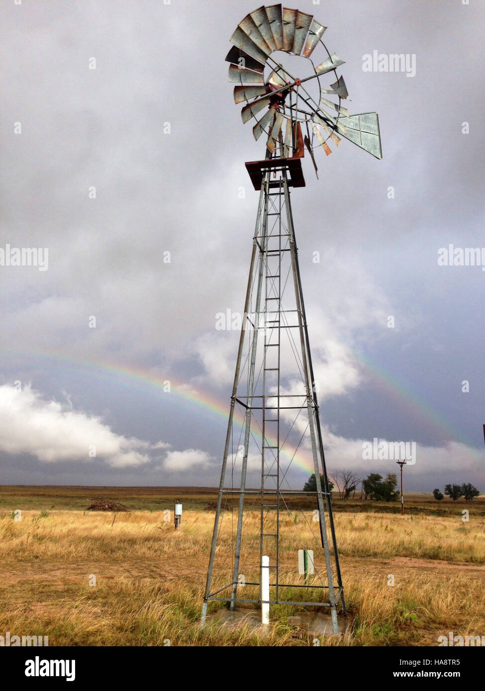 Following a major storm, park services and wildlife conservation ...