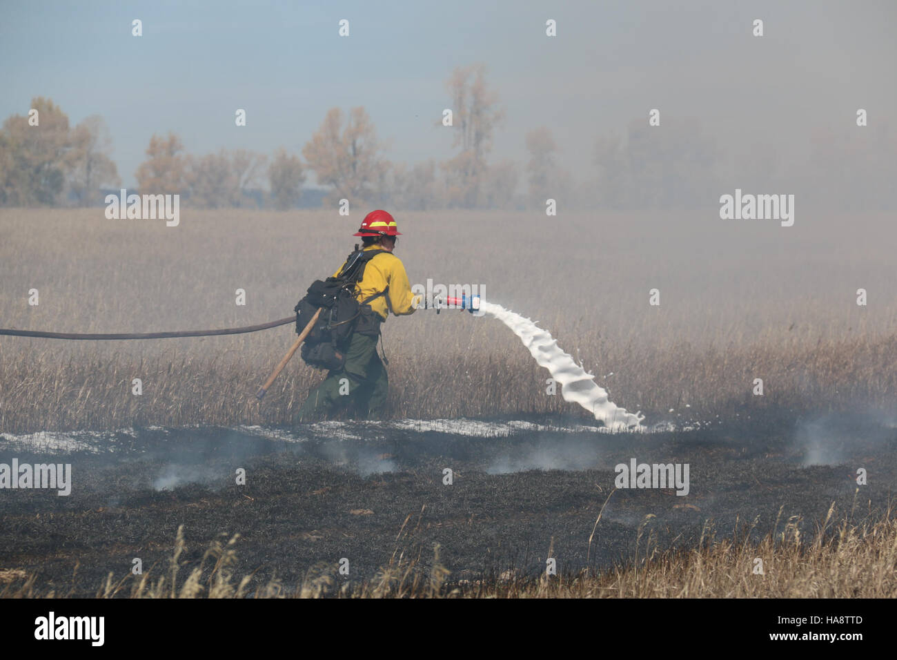This image highlights another conservation tool used to protect and ...