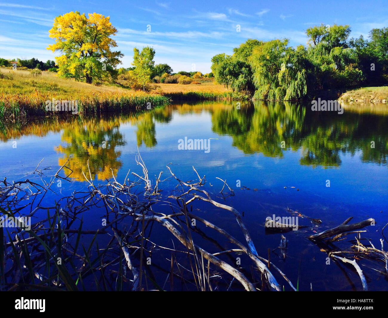Friends Pond in Fall, located within a national park in the Mountain ...