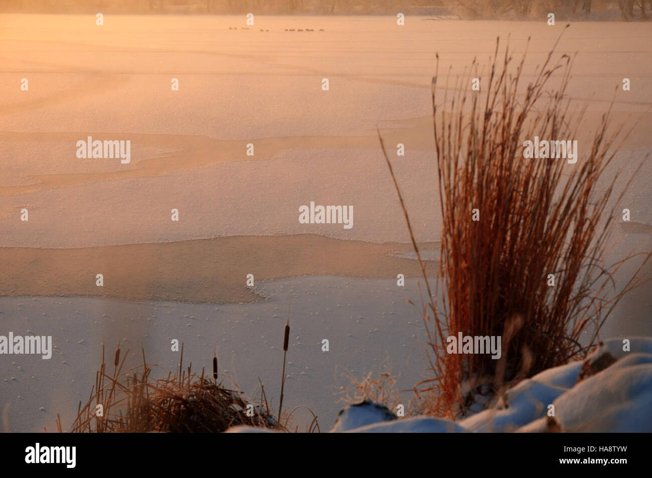 Ladora hi-res stock photography and images - Alamy