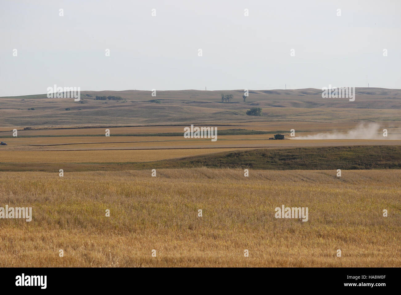 Harvest National Park is an important site for conservation and ...