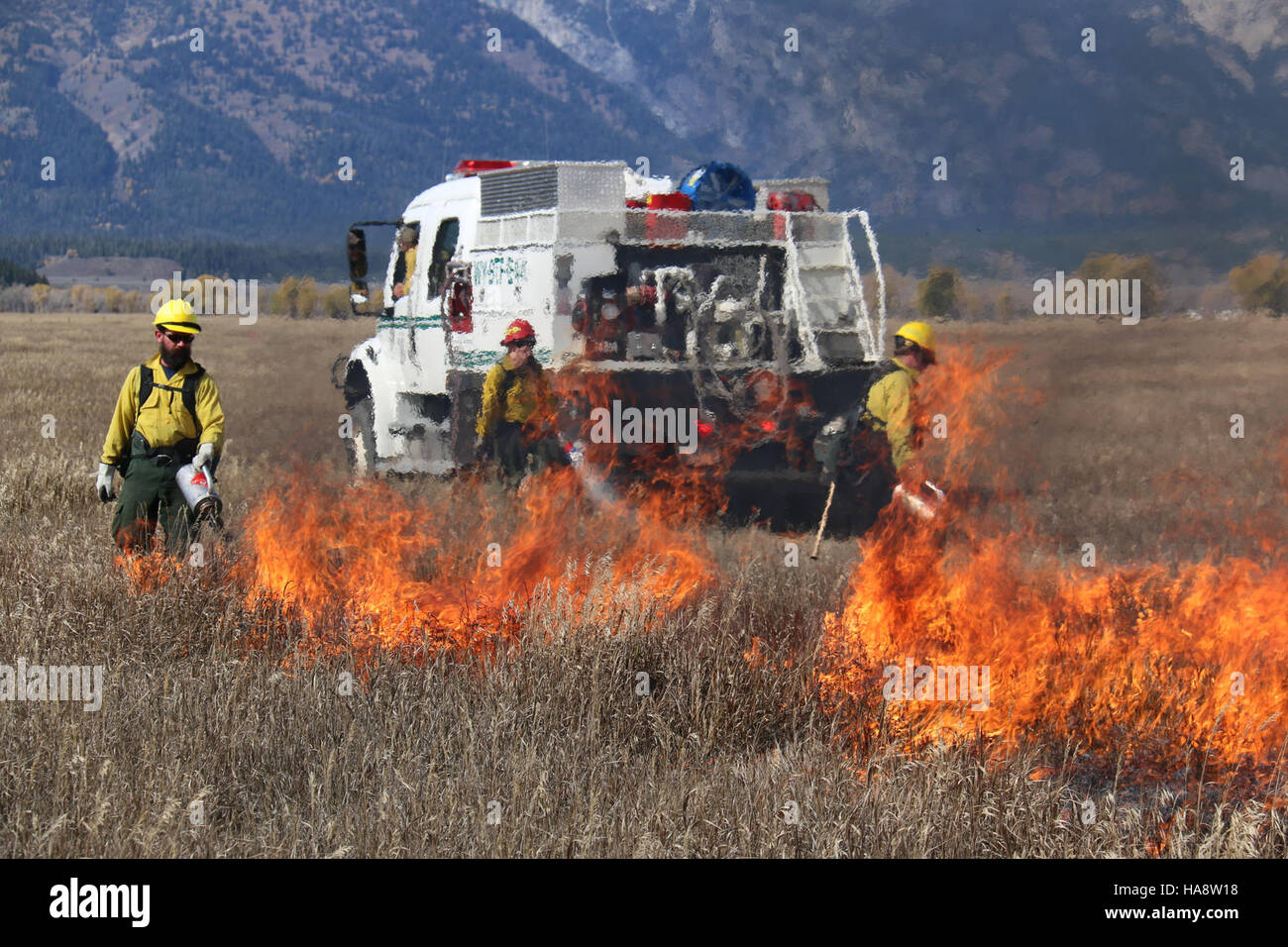 A collaborative effort in a national park involving different ...