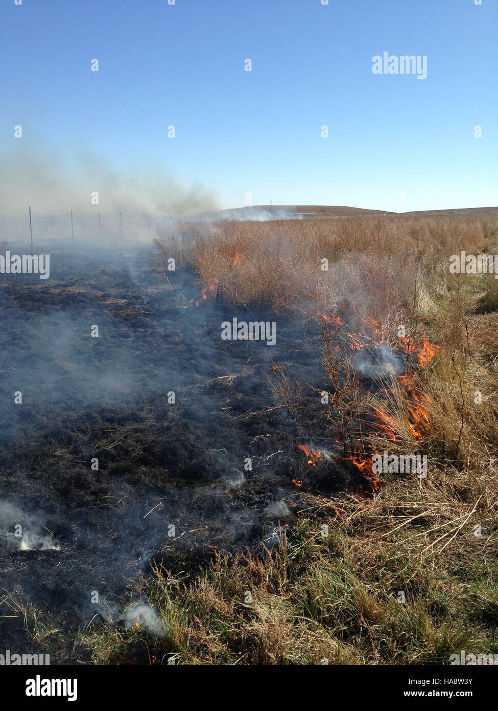 A burning area within a National Park, highlighting fire's role in ...