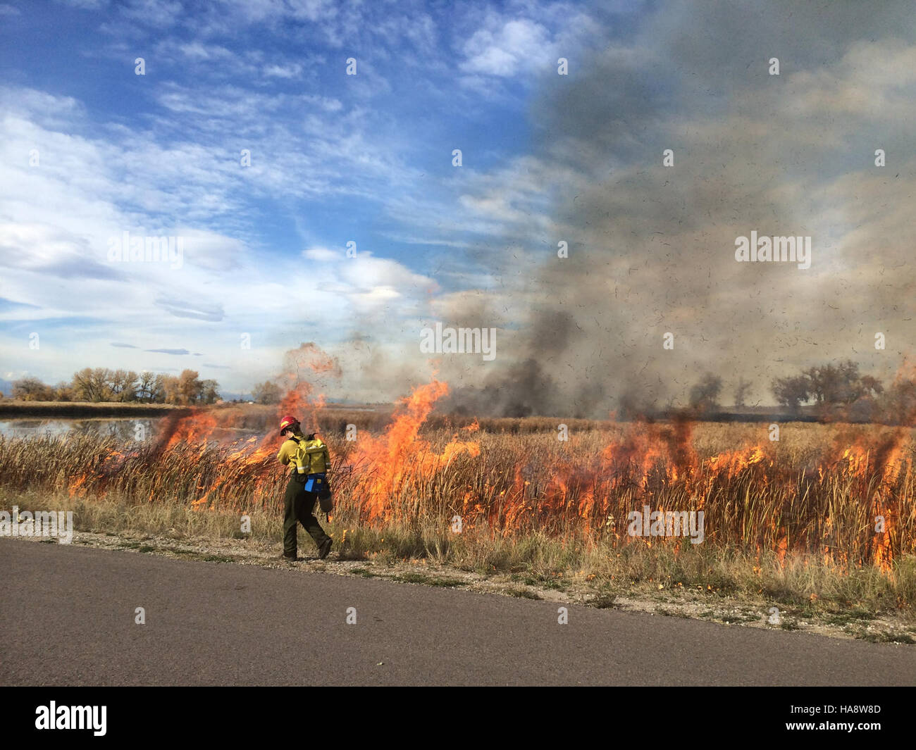 Controlled burns are a management tool used in national parks to reduce ...