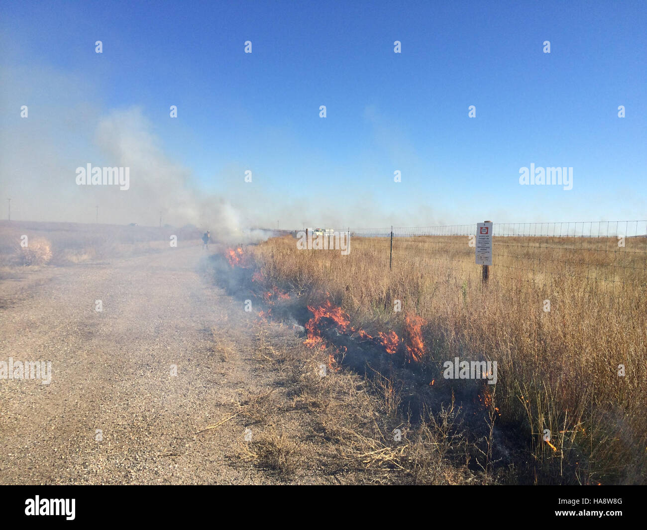 A fireline in a national park, part of wildfire management efforts, is ...