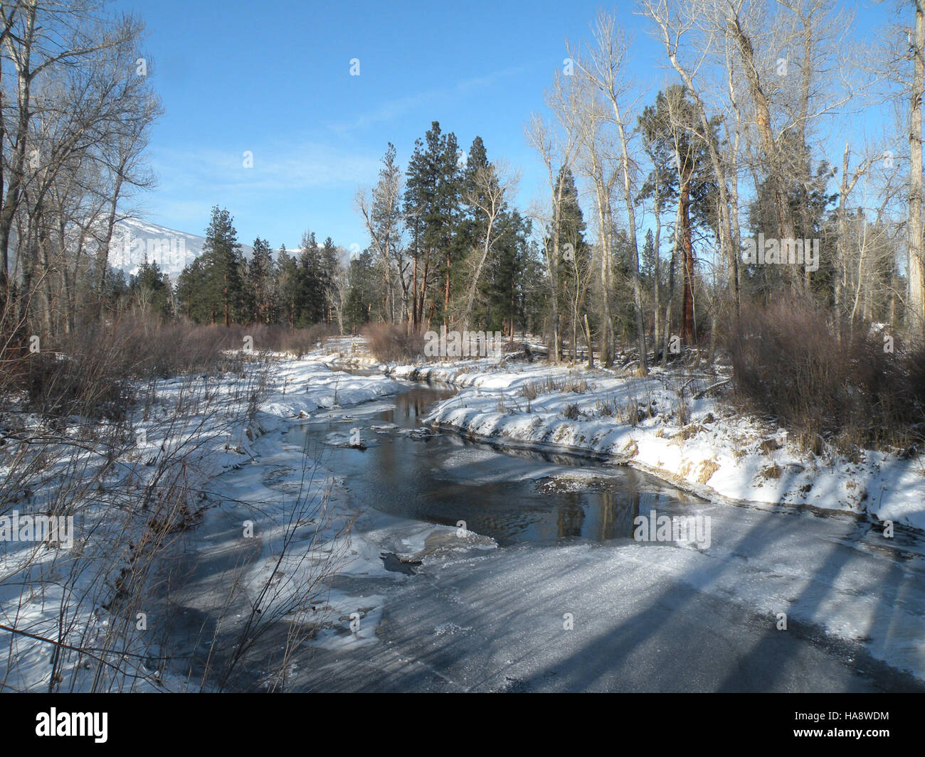 Burnt Fork Creek is an important tributary entering the Bitterroot ...