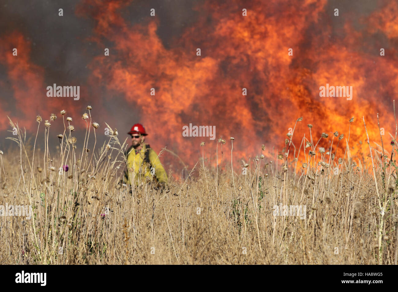 The prescribed burn conducted at Rocky Mountain Arsenal National ...