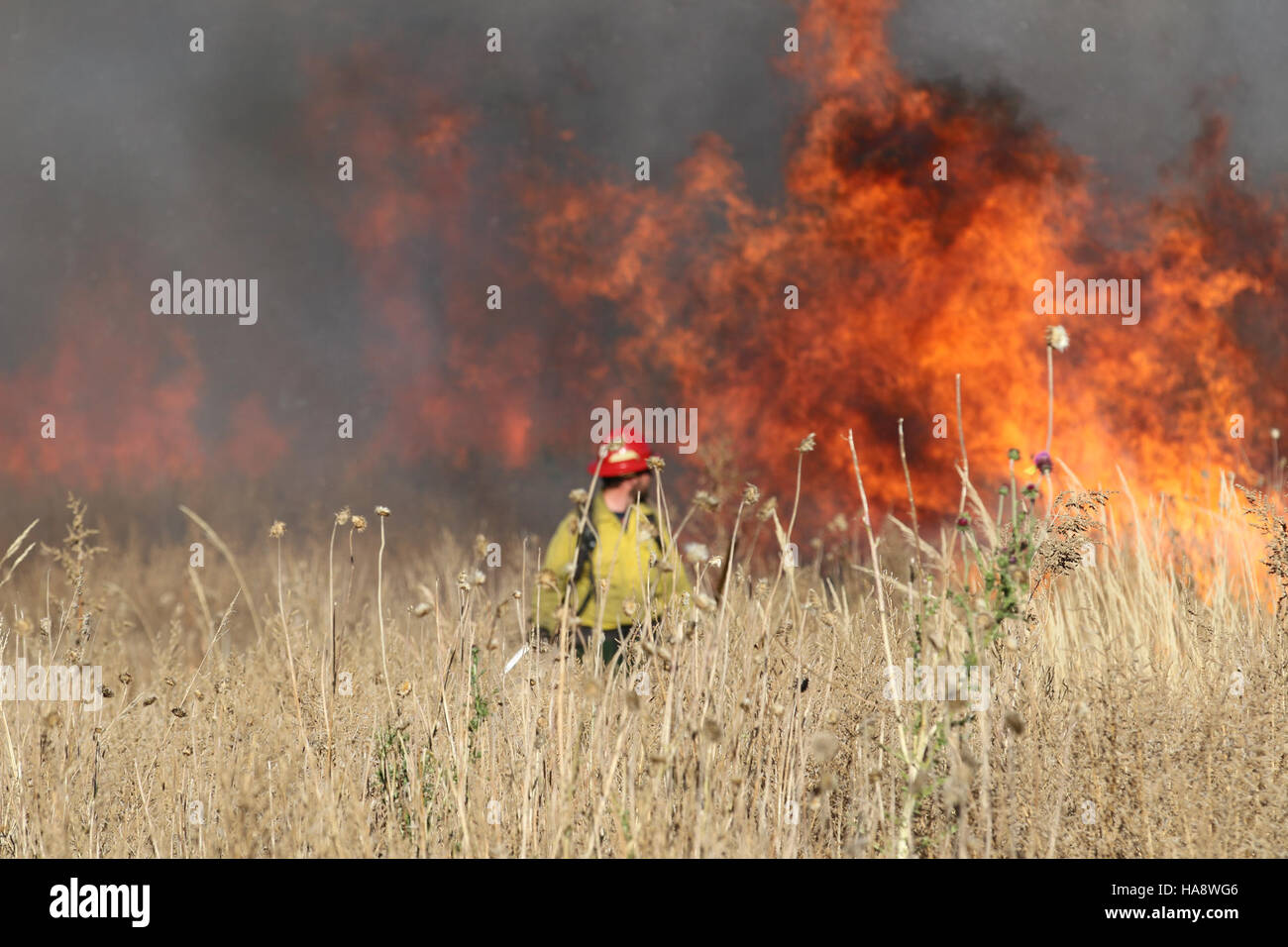 A prescribed burn conducted at the Rocky Mountain Arsenal National ...