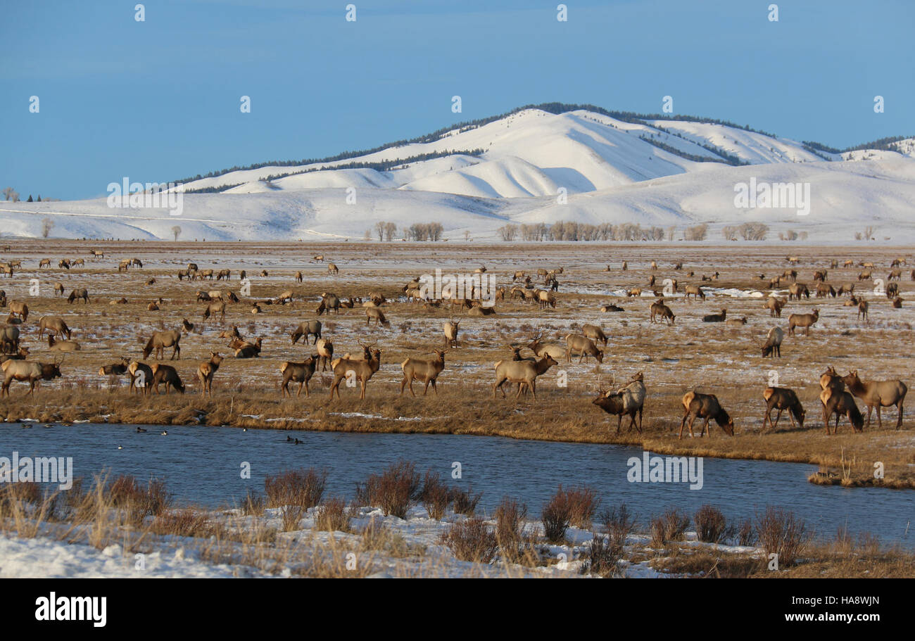usfwsmtnprairie 16231503595 A January Afternoon Stock Photo - Alamy