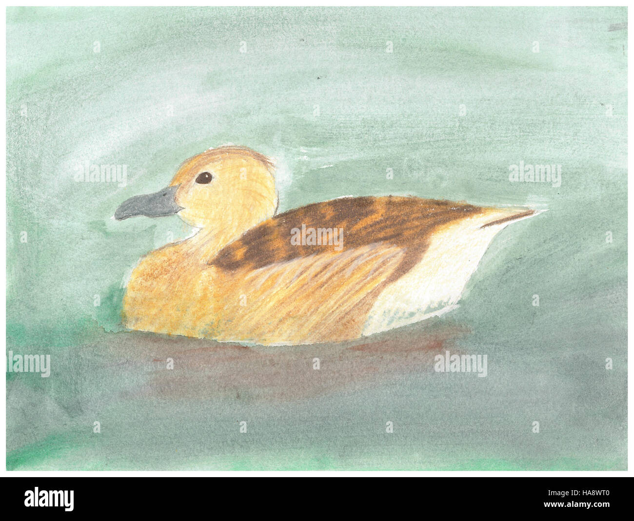 Megan Zimmer, a 12-year-old from Kenmare, ND, participated in a ...