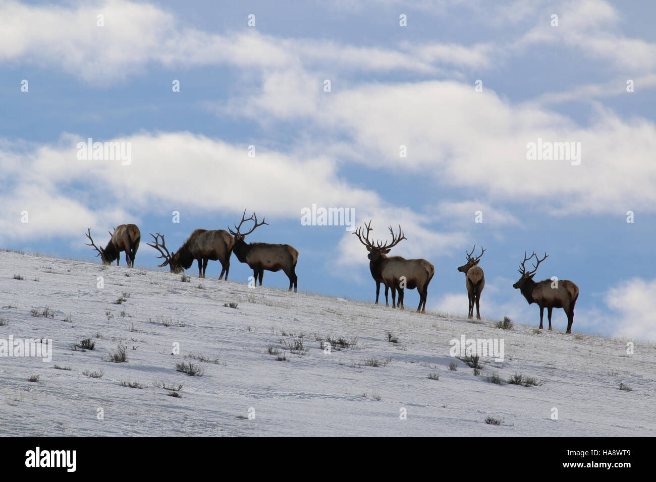 This image captures the majestic beauty of the ridge lines within a ...