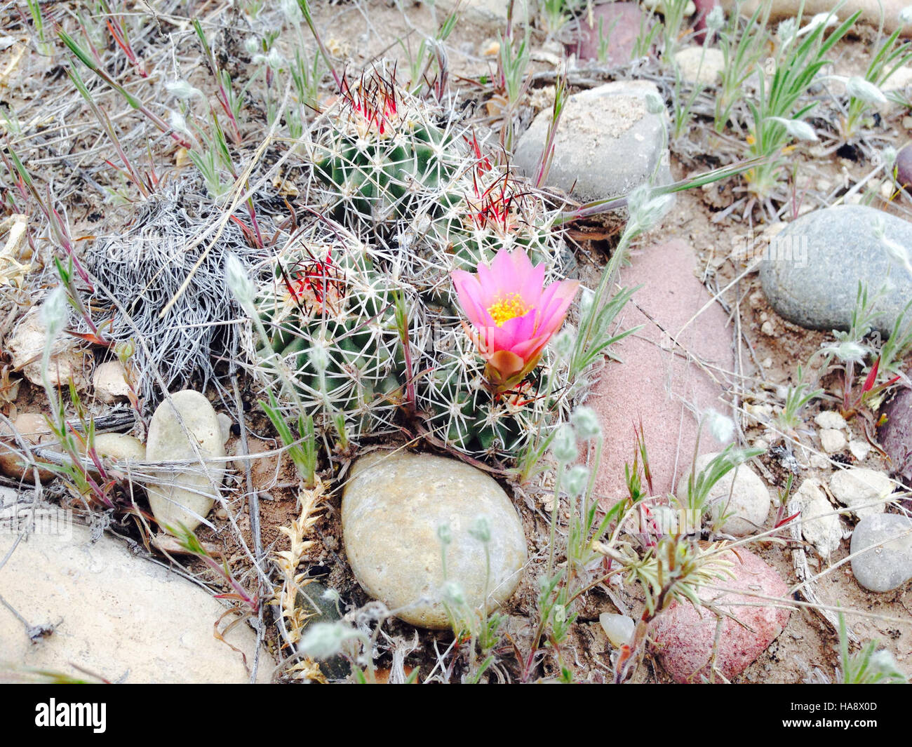 Uinta basin hi-res stock photography and images - Alamy