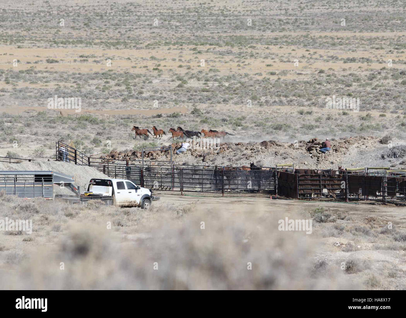 The Jackson Mountain Gather event in Nevada highlighted a collaborative ...