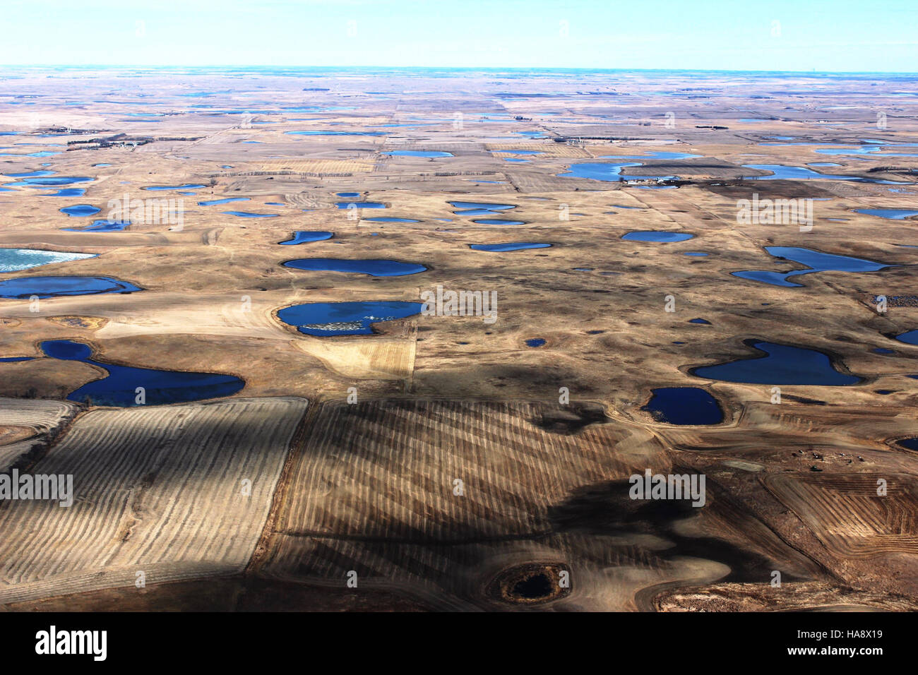 Prairie Potholes National Park is an essential wetland habitat in the ...