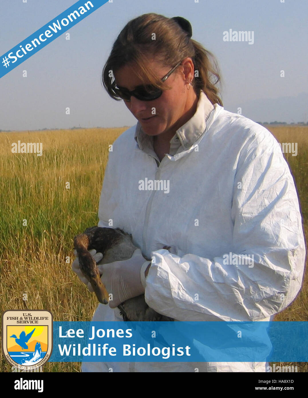 usfwsmtnprairie 16846879571 Lee Jones, #ScienceWoman Stock Photo - Alamy