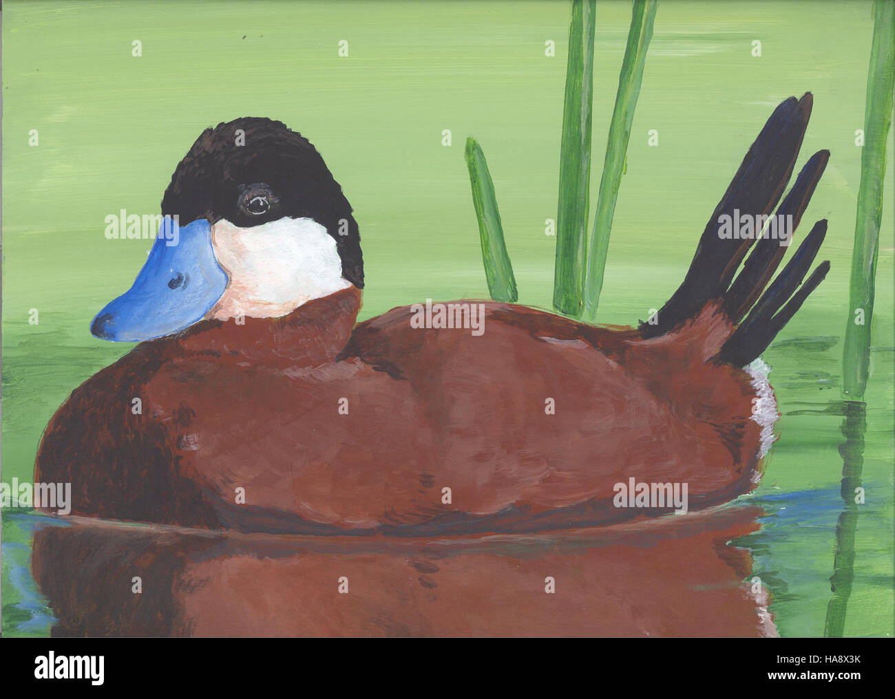 usfwsmtnprairie 16957664661 Conner Collinsworth Group 2 - 1st Place ...