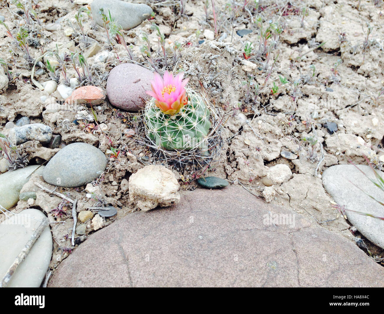 Hookless hi-res stock photography and images - Alamy