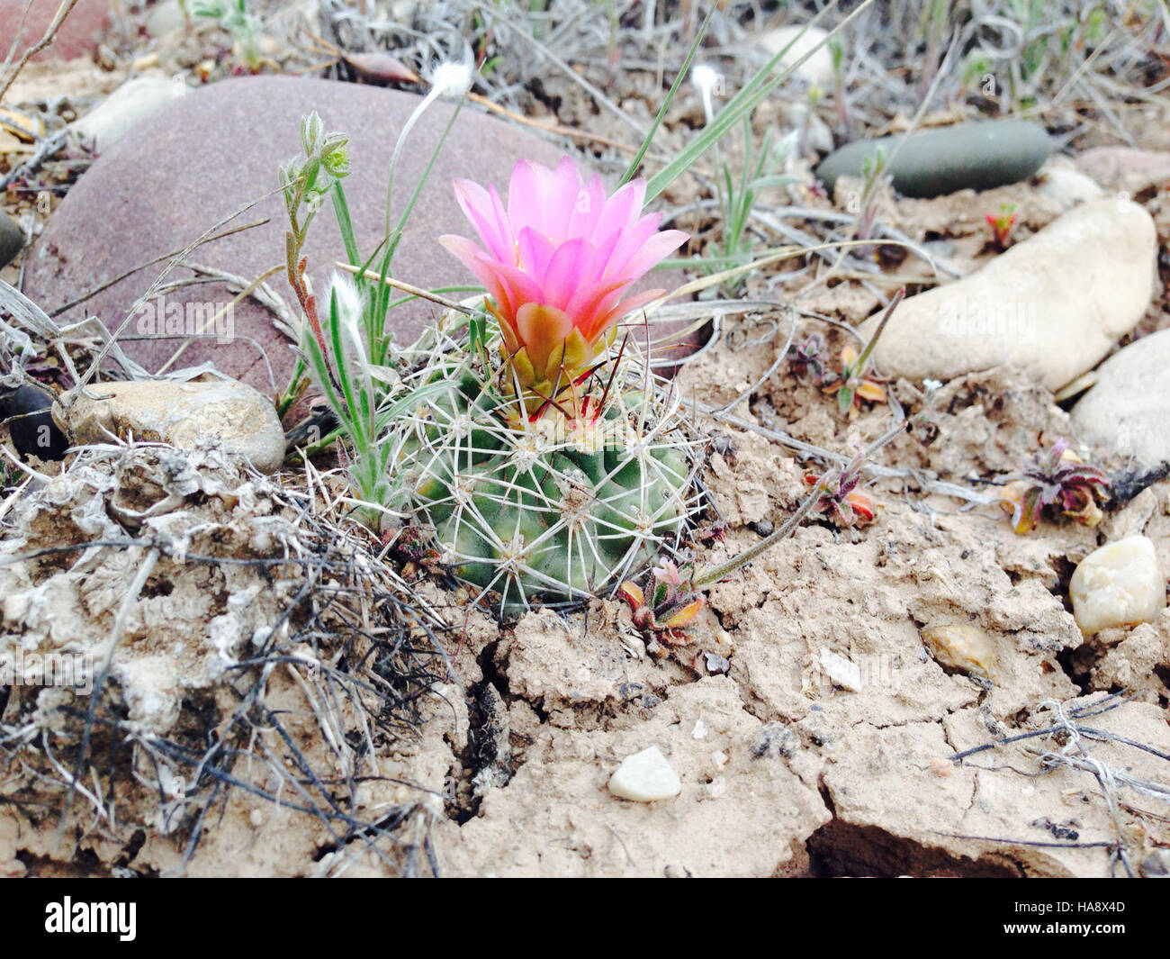 Hookless hi-res stock photography and images - Alamy