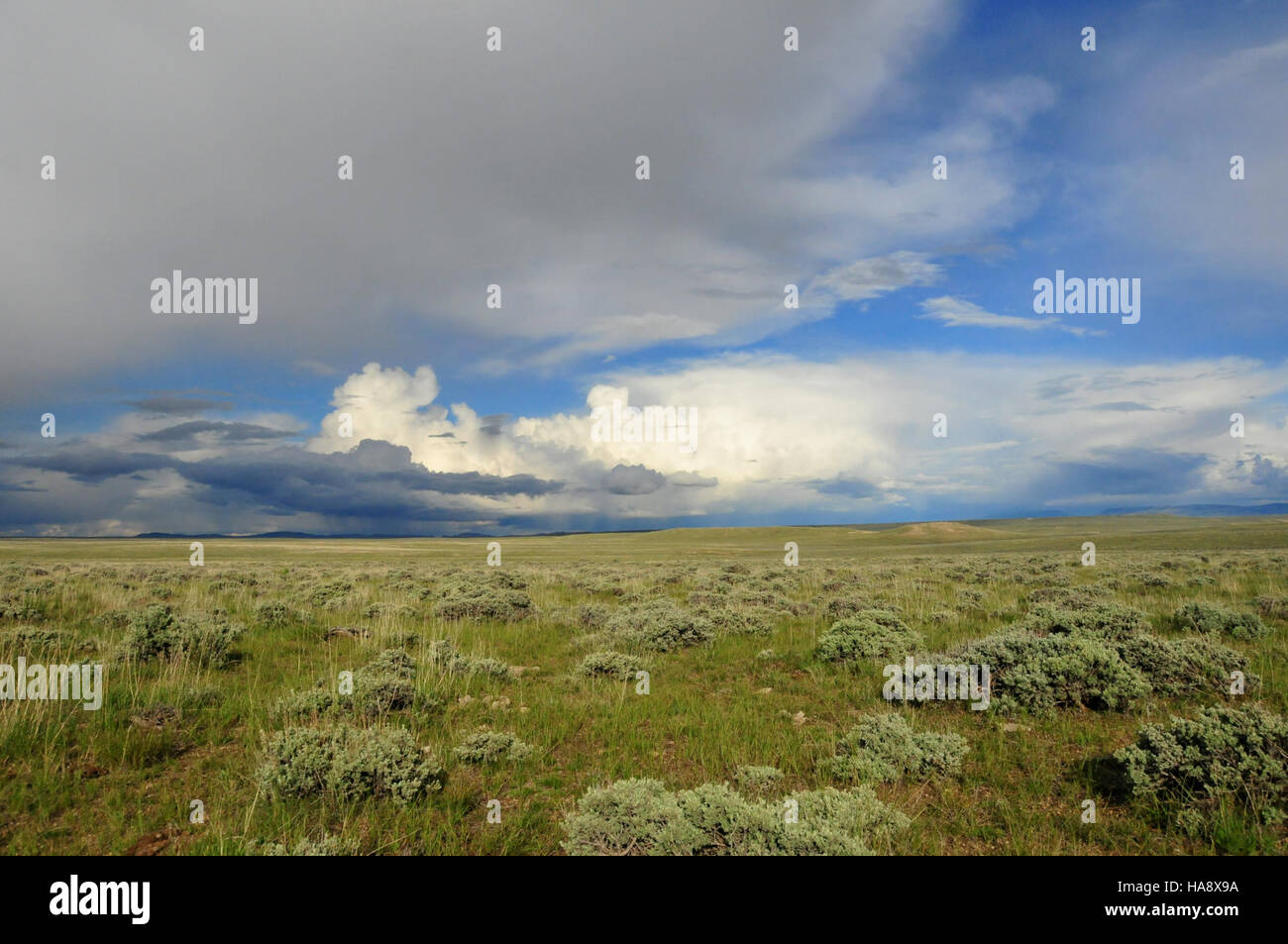 The Big Empty National Park showcases vast, undeveloped landscapes and ...