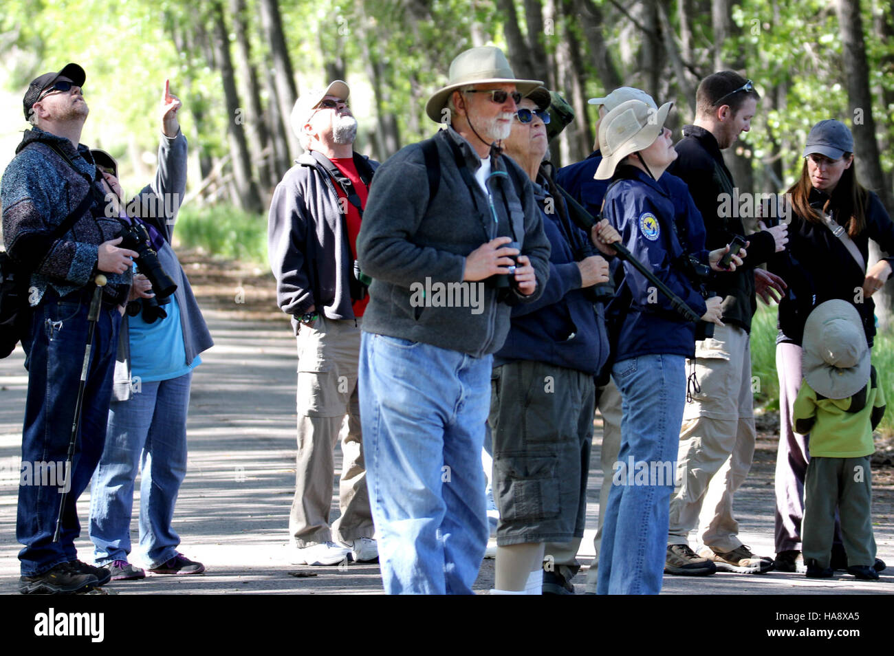 International Migratory Bird Day celebrates the migratory patterns of ...
