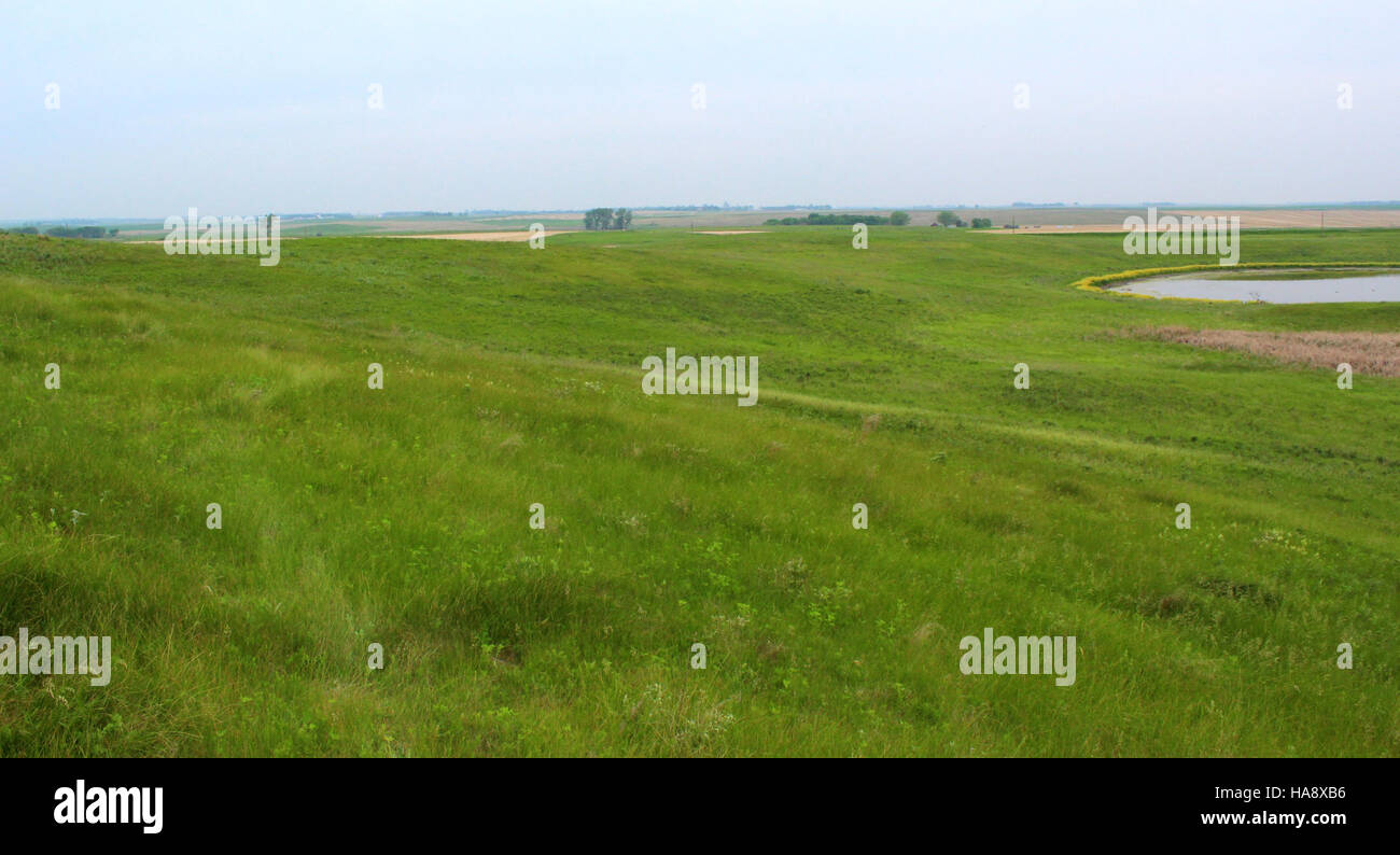 The Cornell Waterfowl Production Area is a vital wetland habitat for ...