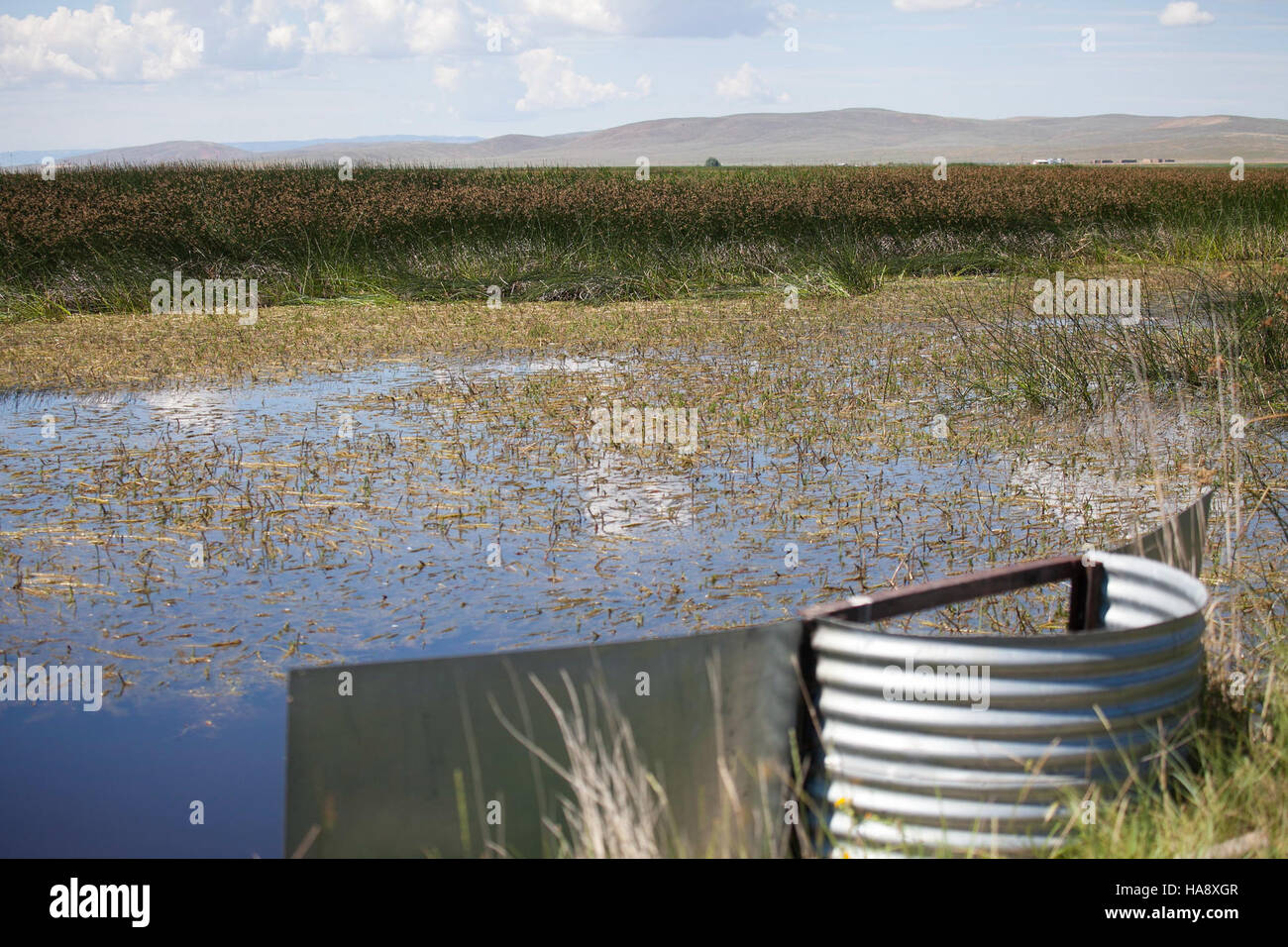 A water management structure within a national park, designed to ...