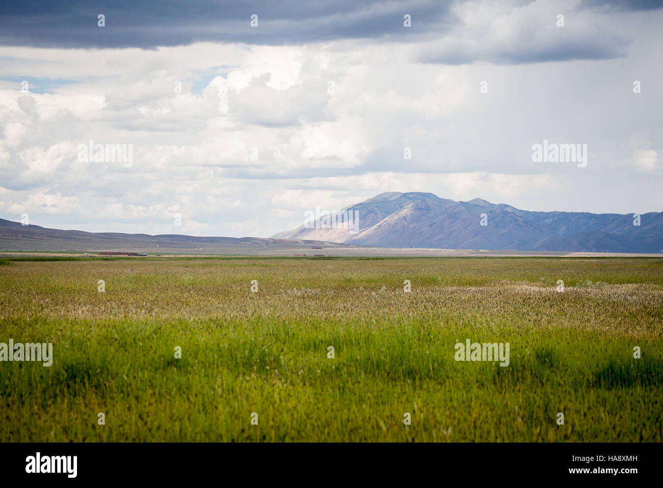 The Sublette Range, rising above Cokeville’s meadows, represents the ...